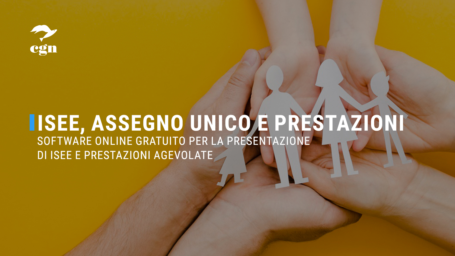Software ISEE Gratuito per Professionisti | Servizi CGN